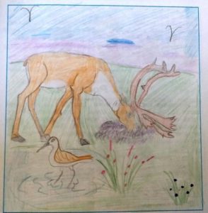 How to draw a tundra with pencils and paints: step-by-step instructions ...