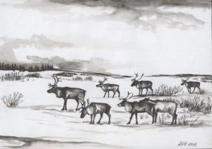 How to draw a tundra with pencils and paints: step-by-step instructions ...