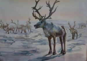 How to draw a tundra with pencils and paints: step-by-step instructions ...